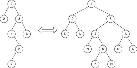Level Order Traversal Line By Line By Sunil Yadav Medium