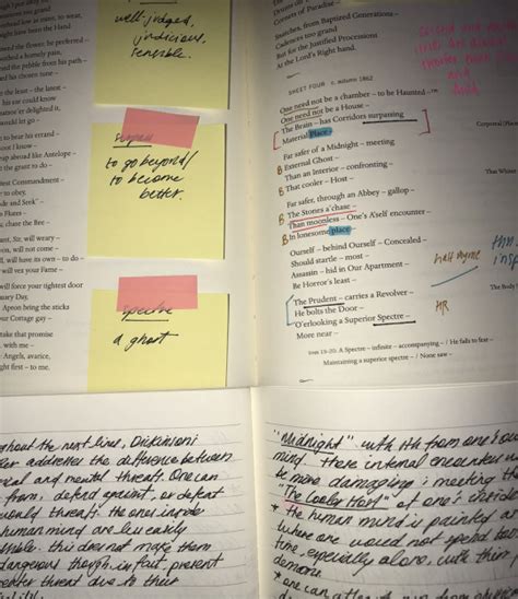 Annotations On Tumblr