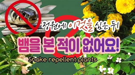 빠른 저장에 있는 핀