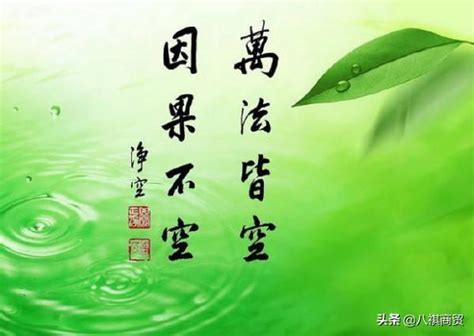 信不信因果報應的都來看看 每日頭條