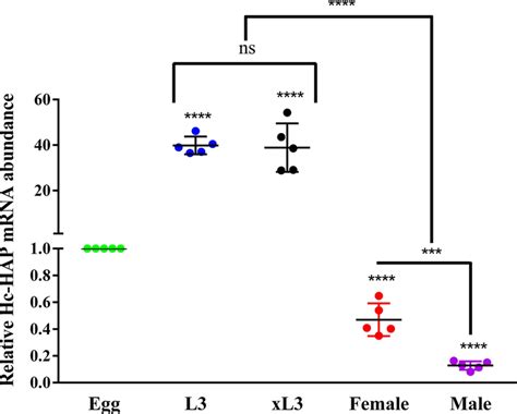 Transcriptional Analysis Of The Hc HAP Gene In Different Developmental Download Scientific