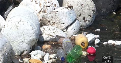 우리나라 바다 미세플라스틱 오염 심각 세계 최고 수준