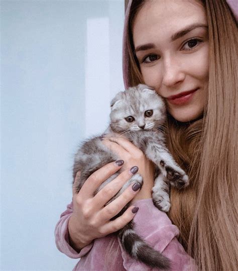Фото с котом котёнок вислоухий шотландец идея для фото дома Кот