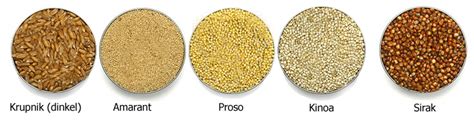 Nisu Sve žitarice Zdrave Jer Većina Nijh Podstiču Kardio I Autoimune
