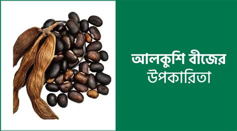 আখরোট এর উপকারিতা ও অপকারিতা এবং খাওয়ার নিয়মাবলী Pre Bangla