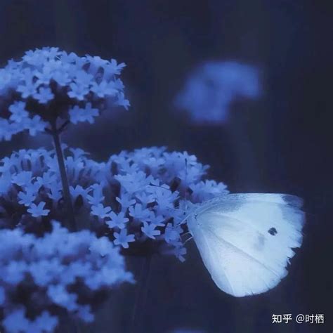 搜不到的小众高级文案 知乎