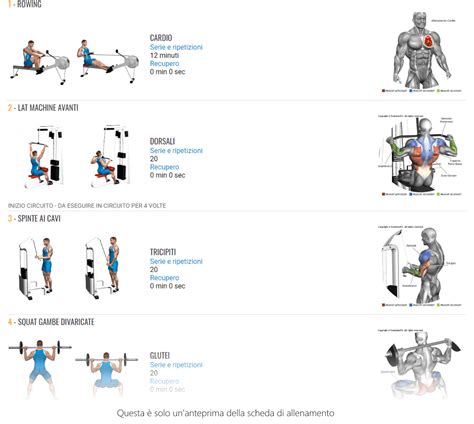 Mass Training Program La Guida Completa Per L Aumento Della Massa Muscolare Evolutionfit
