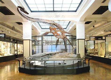 貴重なミイラが見られる上野公園内にある国立科学博物館の見どころを徹底調査②日本館 いろはめぐり
