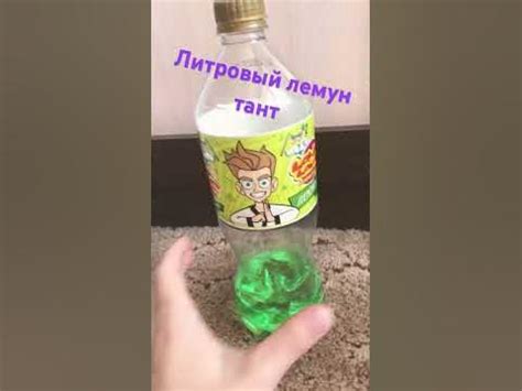 Литровый лемун тант - YouTube