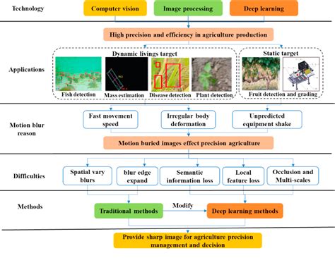 Figure 1 From A State Of The Art Review Of Image Motion Deblurring