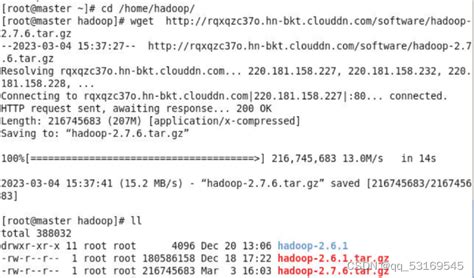 Hadoop基础环境搭建 Csdn博客