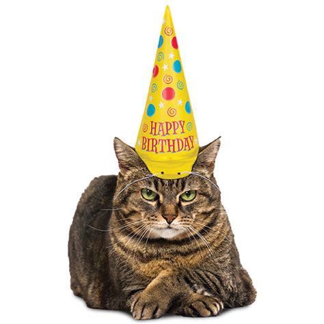Inflatable Party Hat For Cats The Green Head