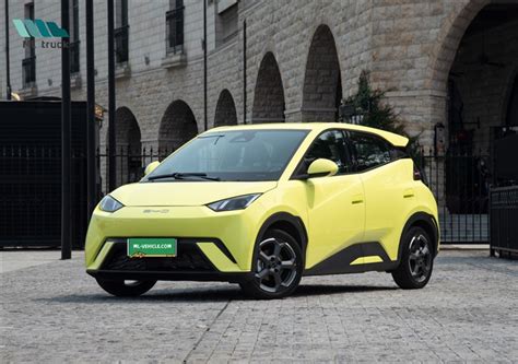 China Customized Byd Seagull Wholesale Byd Seagull Made In China