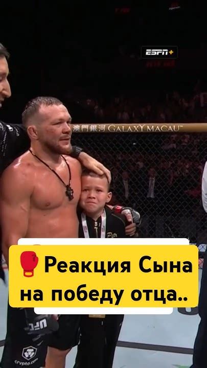 🥊Петр Ян одержал победу реакция Сына Miketyson Ufc Mma Jakepaul петрян Habibi литвин