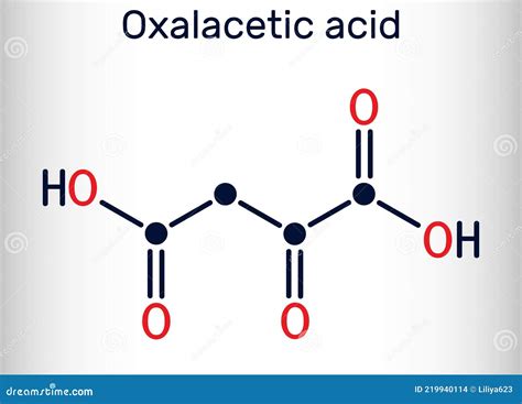 Oxaloacetic Acid Or Oxaloacetate Metabolic Intermediate Molecule