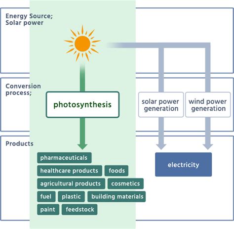 Why Microalgae Matsuri A Cross Industry Initiative That Drives The