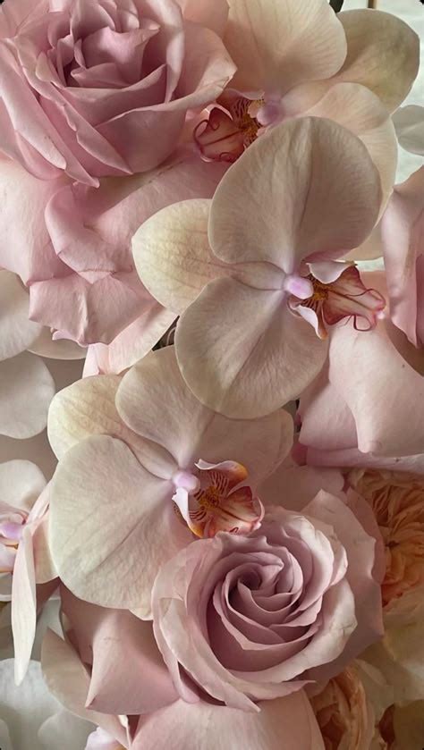 Top 10 Feminine Aesthetic Ideas And Inspiration