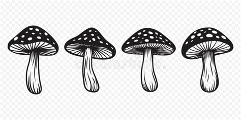 Vector Black And White Hand Drawn Cartoon Mushrooms Amanita Muscaria