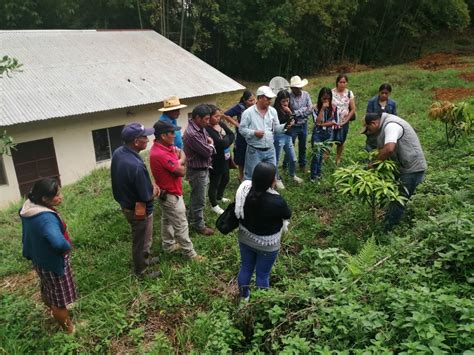Aprenden Procesos De Conservación De Suelos Ministerio De Agricultura