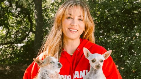 Big Bang Theory Star Kaley Cuoco Raises 3 Million To Build The Honest Company For Pets