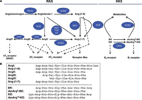 Gpcr Signaling Pathways Biased Agonism Development Of Novel Ligands