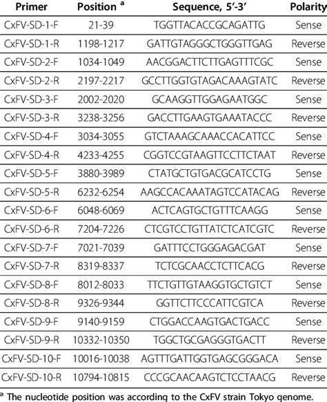 Degenerate Primer Sequences Used For Viral Screening And Primer Sets Download Table