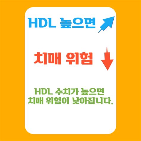 Hdl 콜레스테롤 이란 정상수치 높이는 방법 높이는 음식 알아보기