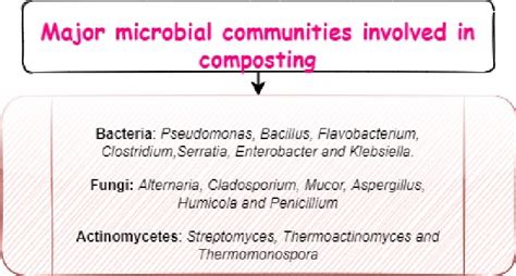 Different Microbial Communities In Composting 68 Download