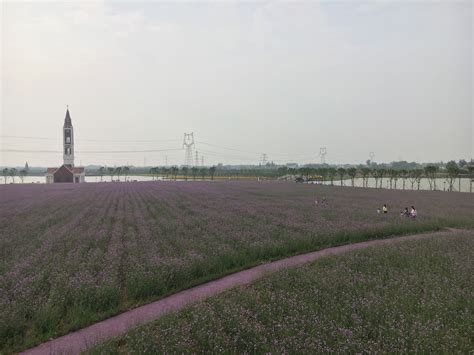 2024伊甸园游玩攻略 周末休闲的好去处唯一不足 去哪儿攻略