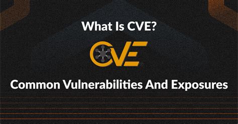 What Is A CVE Meaning Common Vulnerabilities And Exposures In Security Vulners