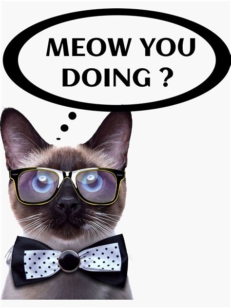 Funny Cat Face With Funky Glasses Sticker For Sale By Thamishop1