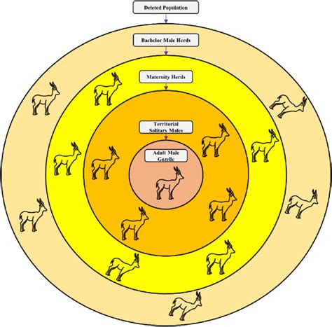 Optimization Procedure Of Mgo Algorithm Download Scientific Diagram