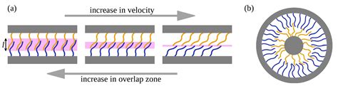 Lubricants Free Full Text Polymer Brush Friction In Cylindrical