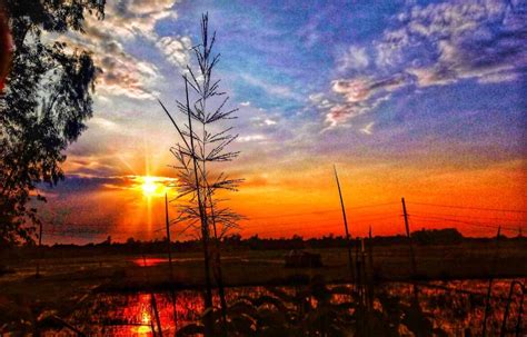 What Is The Biodiversity Net Gain Mitigation Hierarchy What Is The Biodiversity Net Gain Mitigation Hierarchy