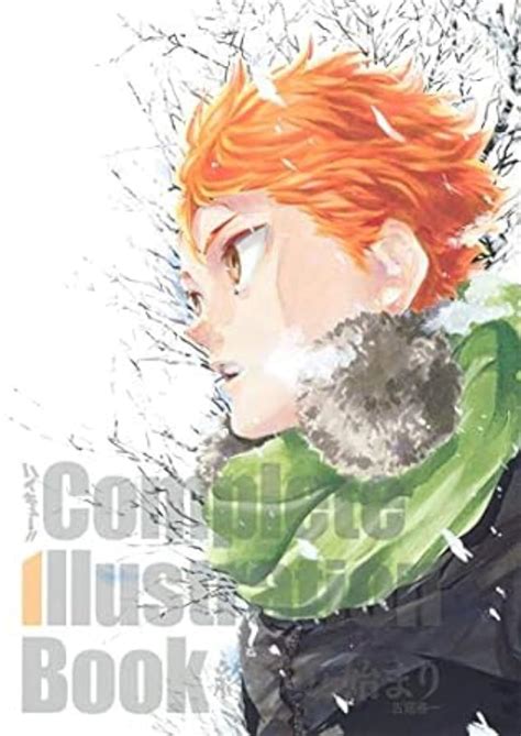 Haikyu Complete Illustrations Artbook 9782820350121