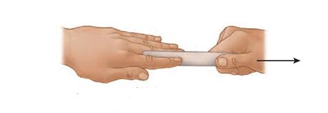 Palmar Interossei Muscles