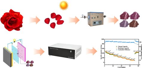 Crdc 1000 Preparation Flow Chart Download Scientific Diagram