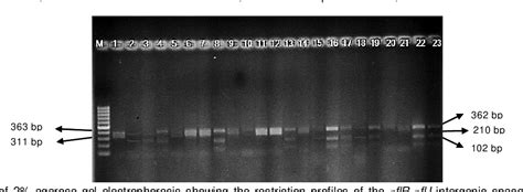 Figure 3 From Quantitative Detection Of Aflatoxin And Species