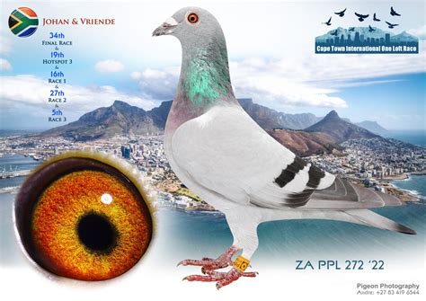 Lot 34 Cape Town Lofts Johan And Vriende Za 22 Ppl 272 Bb H 34th Final