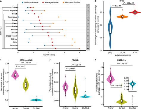 Inferring Ctcf Binding Patterns And Anchored Loops Across Human Tissues And Cell Types Patterns