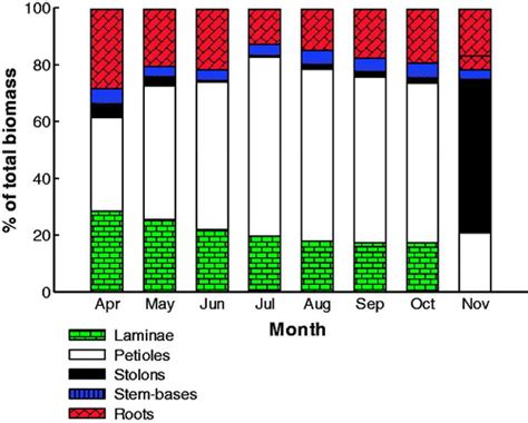 Full Article Determination Of Carbohydrate Allocation Patterns In Water Hyacinth To Discover