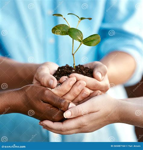Construir Un Futuro Mejor Juntos Gente Irreconocible Con Una Planta