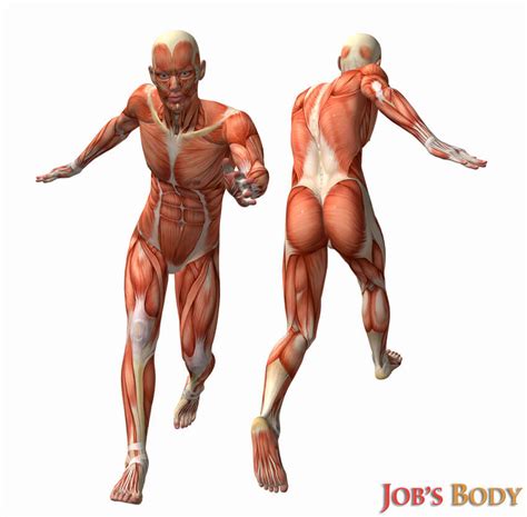 August Webinar Series Jobsbody Deane Juhans Official Website