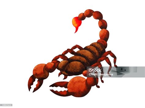 蠍子生肖占星術星座符號標誌圖示圖示設計在水元素色彩藝術背景水彩畫卡通畫圖圖財富向量圖形及更多水彩畫圖片 水彩畫 蝎子 Space