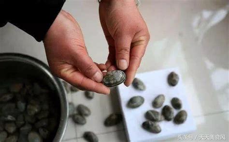 把硬幣往盆里一扔再掂一掂 花蛤很快就自己吐沙了 每日頭條