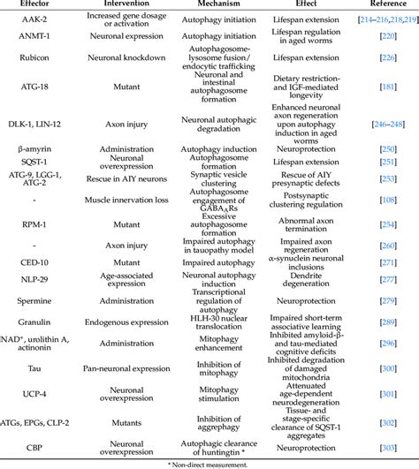 Regulation Of Ageing By Neuronal Autophagy In Caenorhabditis Elegans