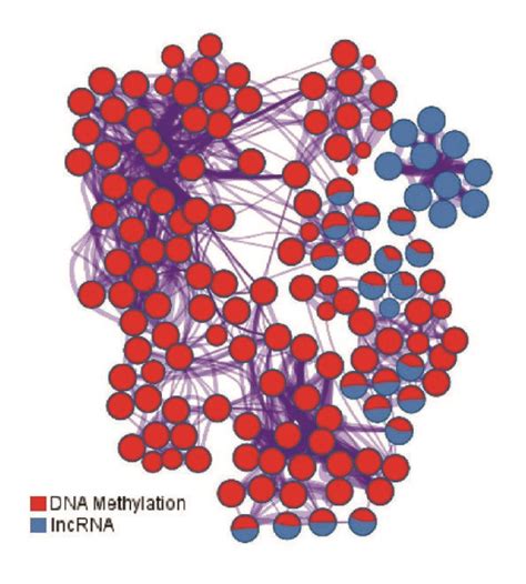 Meta Analysis On The Lncrna And Dna Methylation Profiling Experiments
