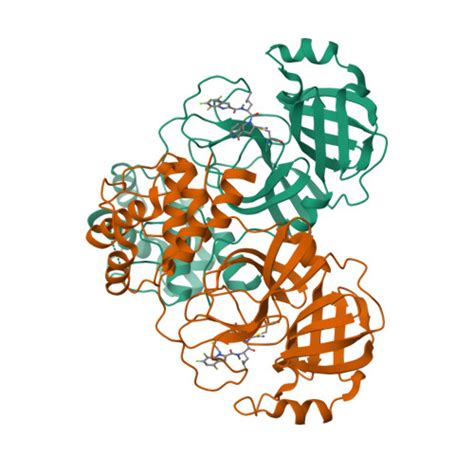 Rcsb Pdb 8vdj Crystal Structure Of Sars Cov 2 3cl Protease 3clpro As A Covalent Complex