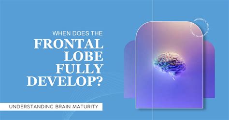 When Does The Frontal Lobe Fully Develop Hillside Horizon
