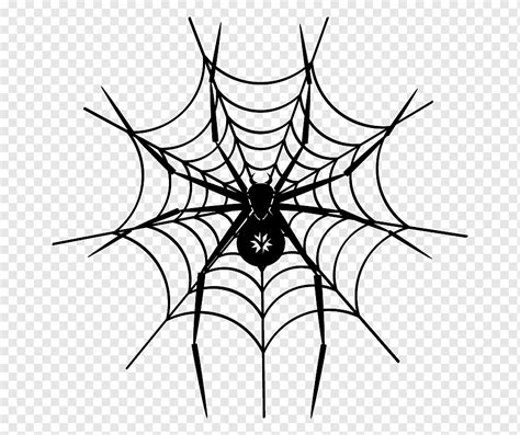 Tela de araña adhesivo adhesivo araña hoja monocromo insectos png PNGWing